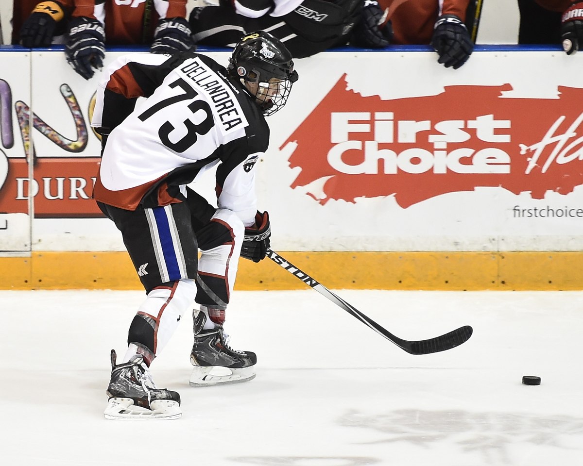 2016 OHL Draft: Top 140 OHL Draft Prospects Ranking - HockeyProspect.com