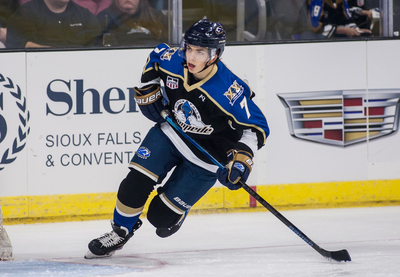 2019 NHL Draft: Ryan Johnson, Sioux Falls Stampede - HockeyProspect.com